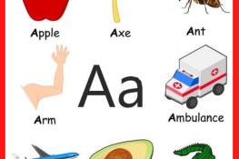 Candy Wheeler Georgia Therapist – Find Fact Here!